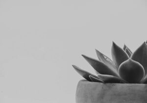 News & Updates - Avcare